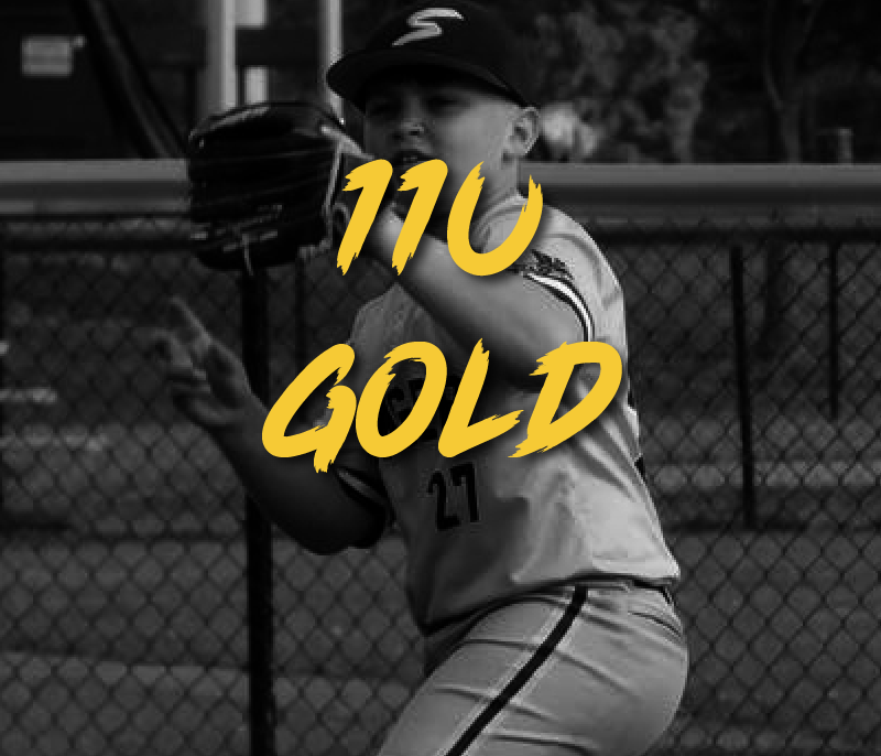 NY Stingers - Premier Baseball Training Academy