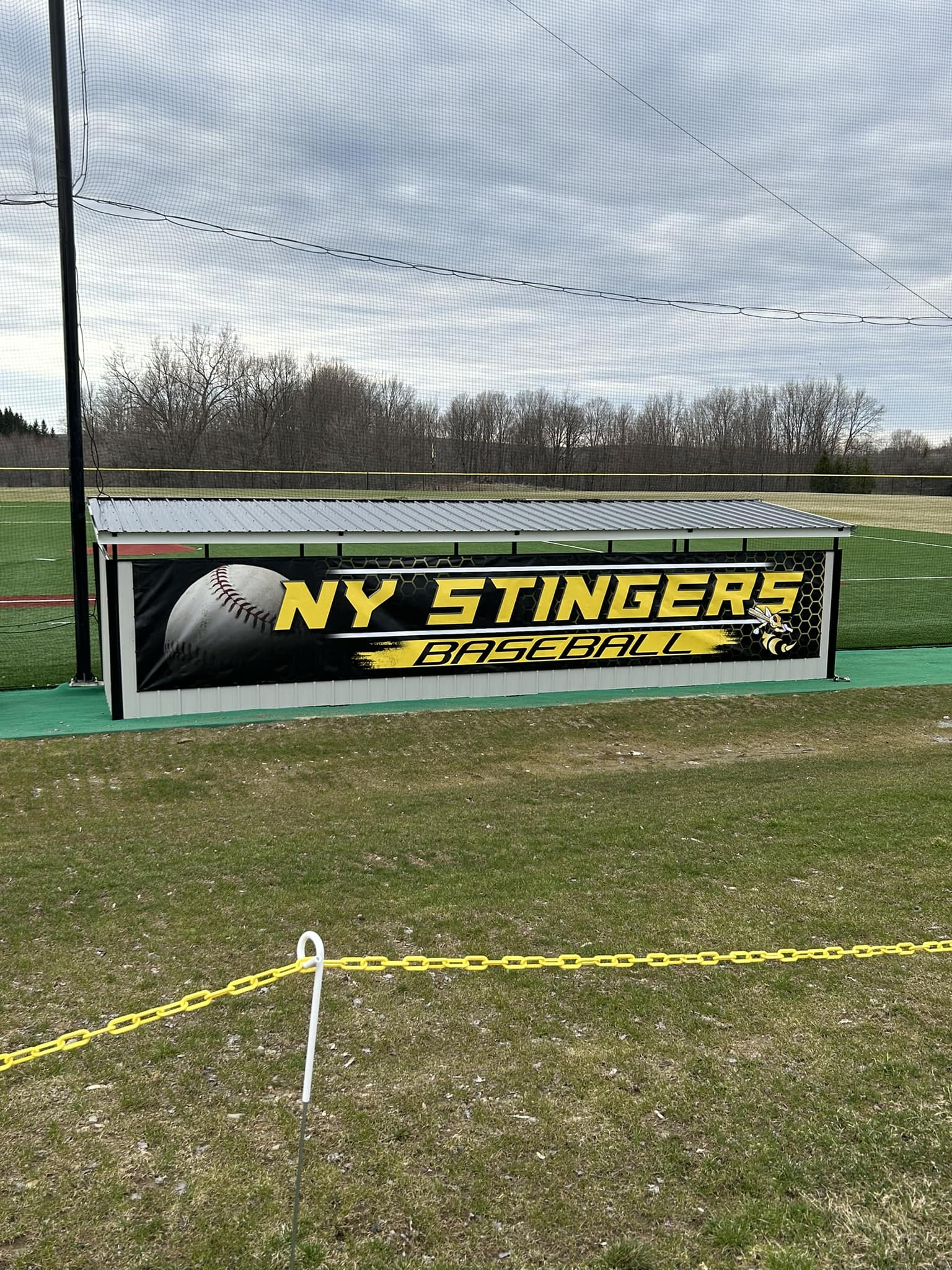 NY Stingers - Premier Baseball Training Academy