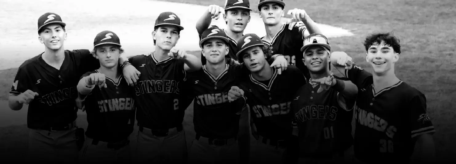 NY Stingers - Premier Baseball Training Academy