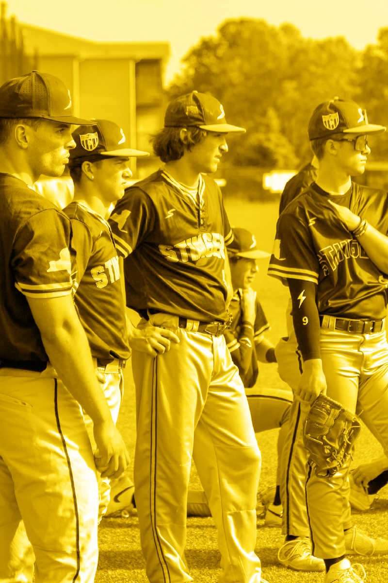 NY Stingers - Premier Baseball Training Academy
