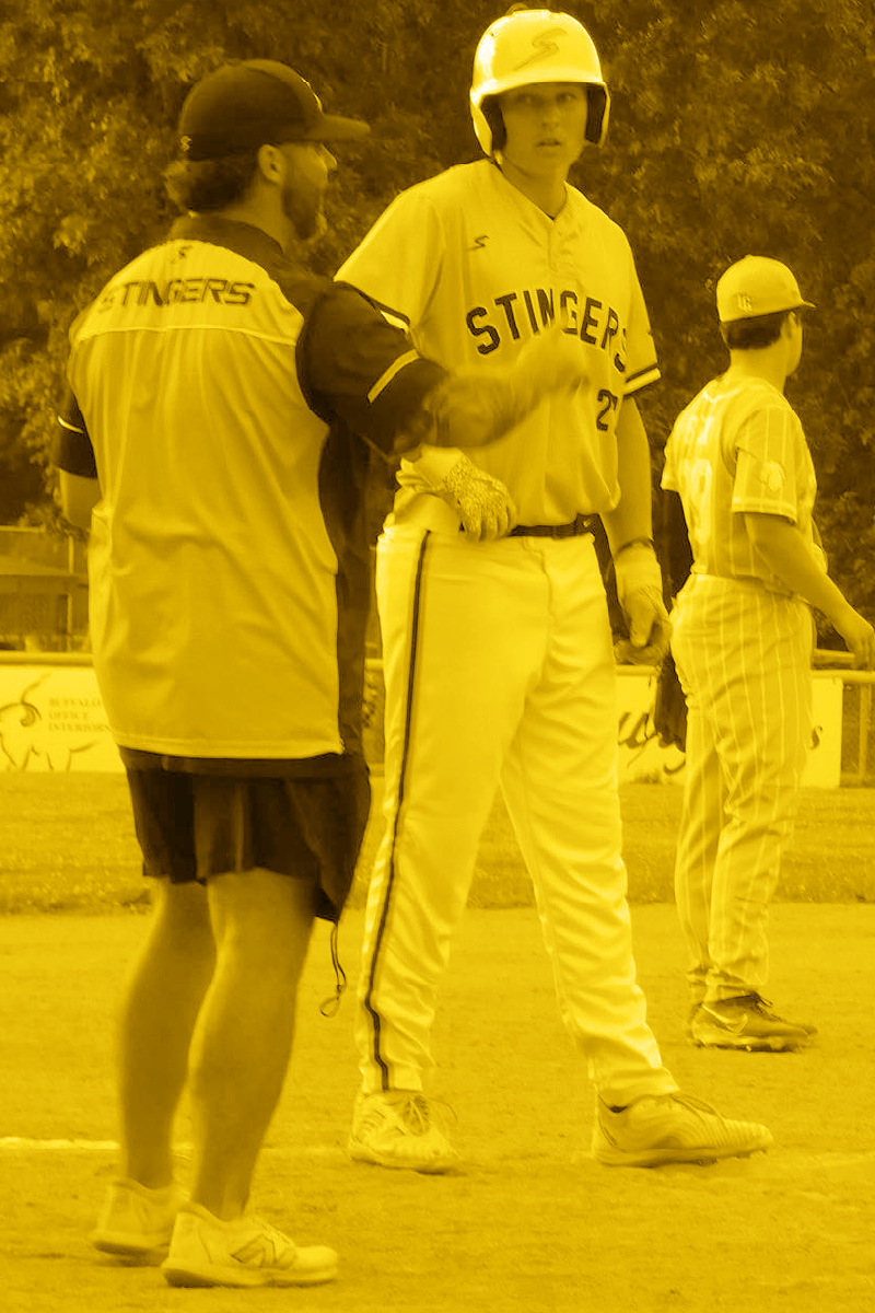 NY Stingers - Premier Baseball Training Academy