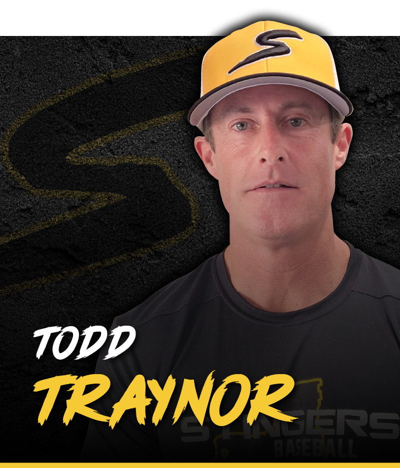 NY Stingers - Premier Baseball Training Academy